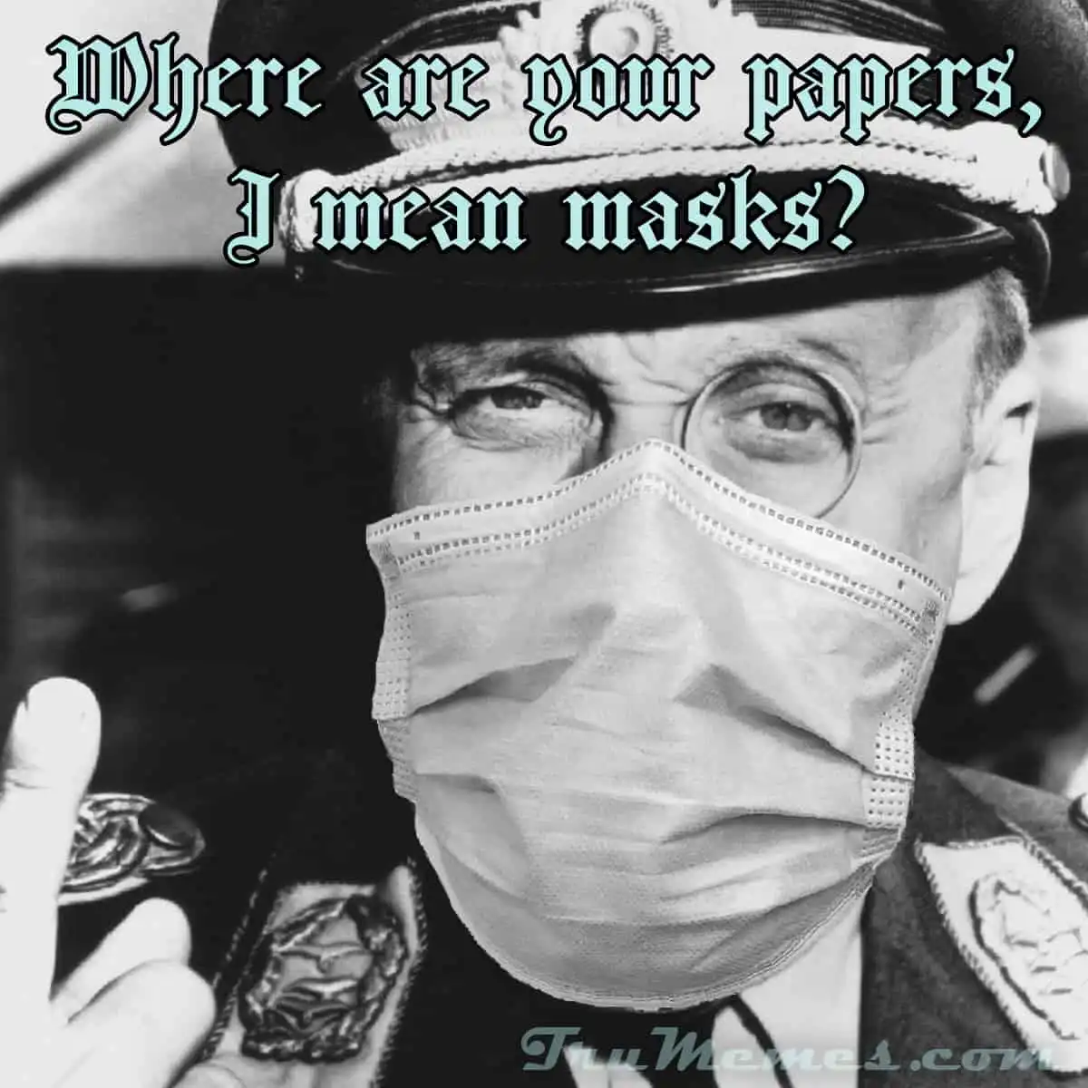 Where are your papers, I mean masks? - TruMemes.com